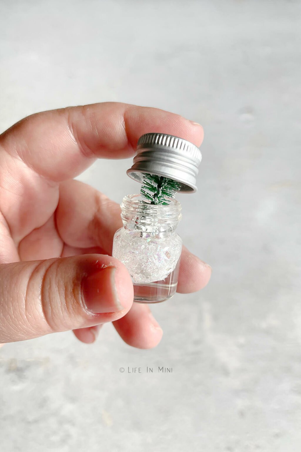 How to Make Mini Snow Globes – Life in Mini