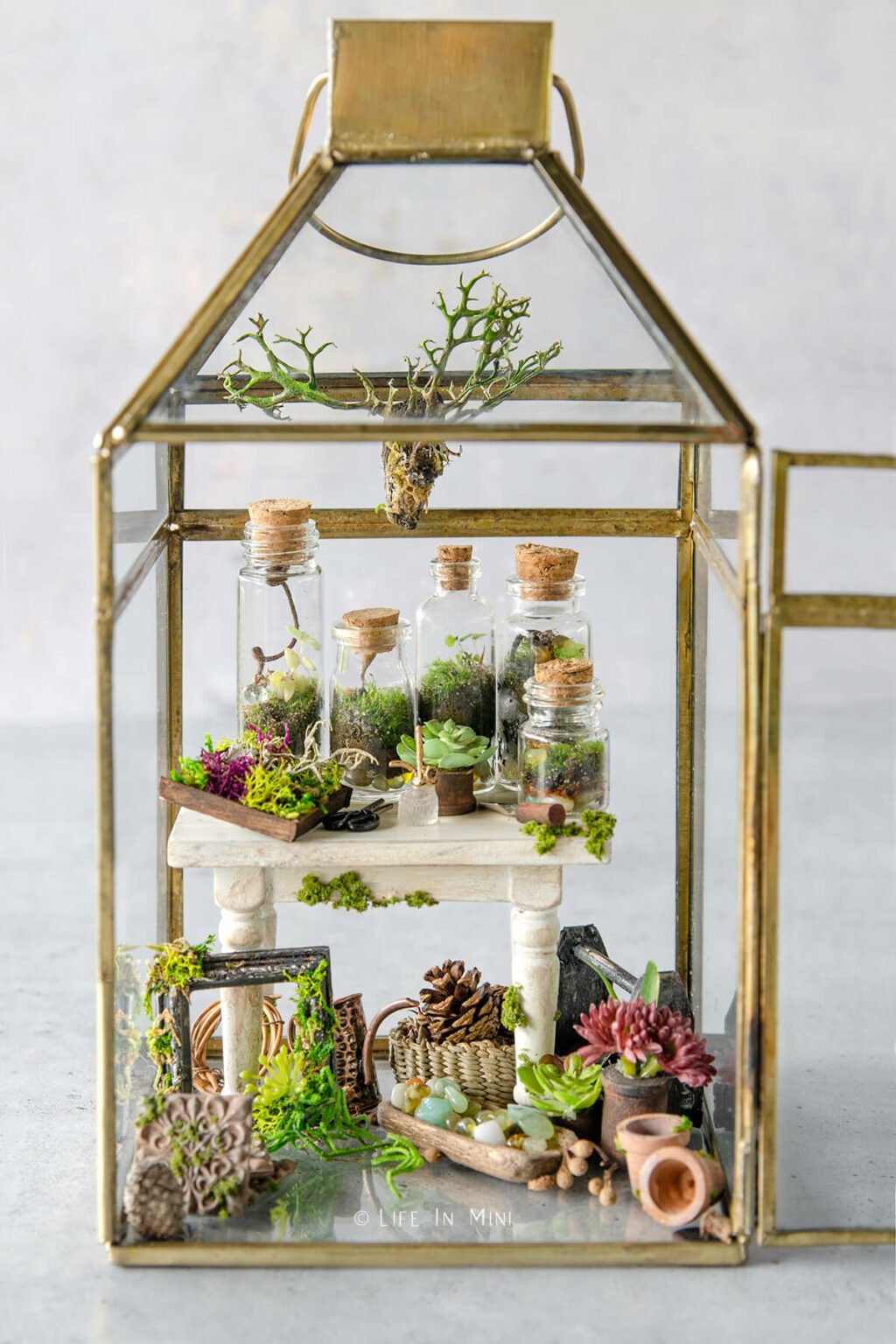 How to Make Mini Terrariums – Life in Mini