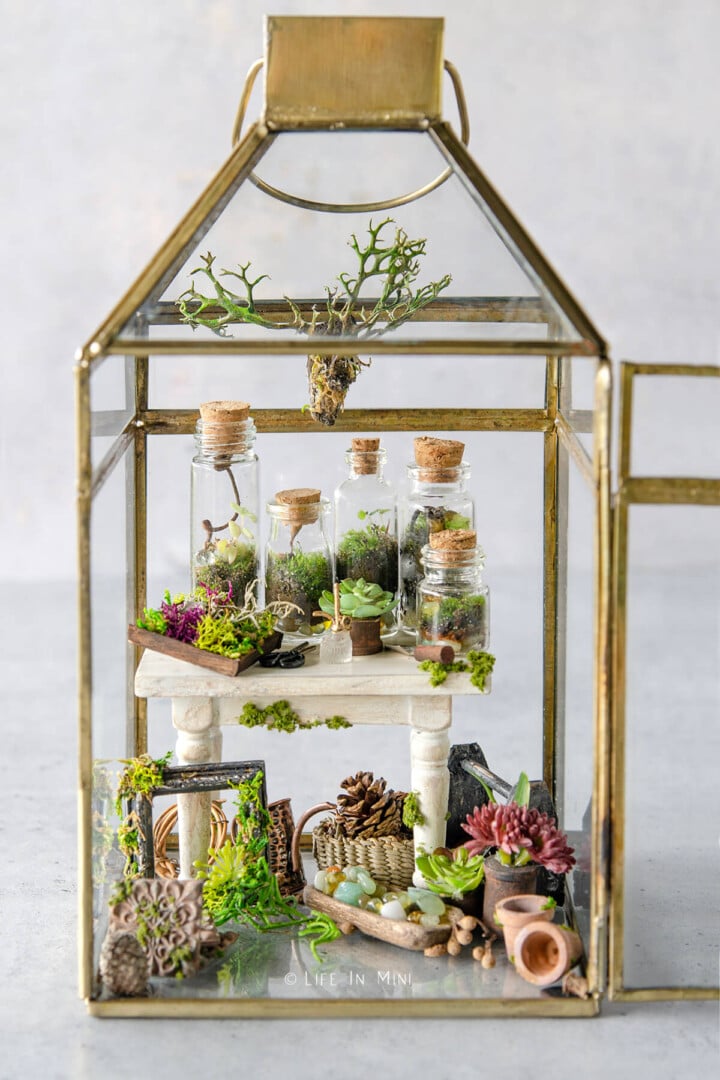 How to Make Mini Terrariums – Life in Mini