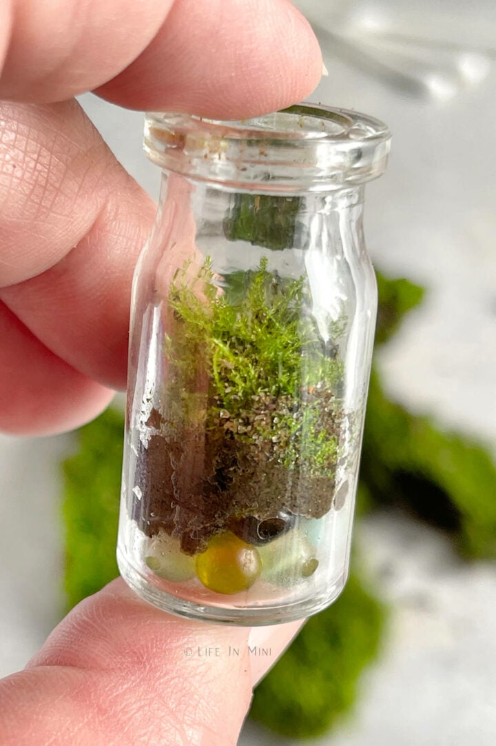 How to Make Mini Terrariums – Life in Mini