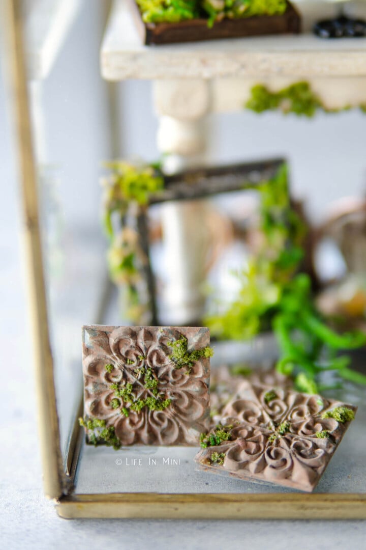 How to Make Mini Terrariums – Life in Mini