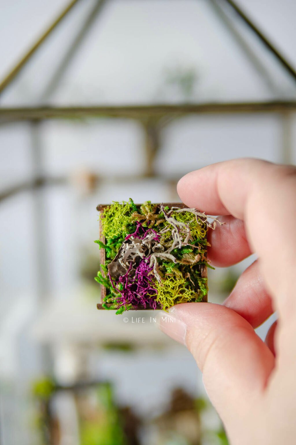 How to Make Mini Terrariums – Life in Mini