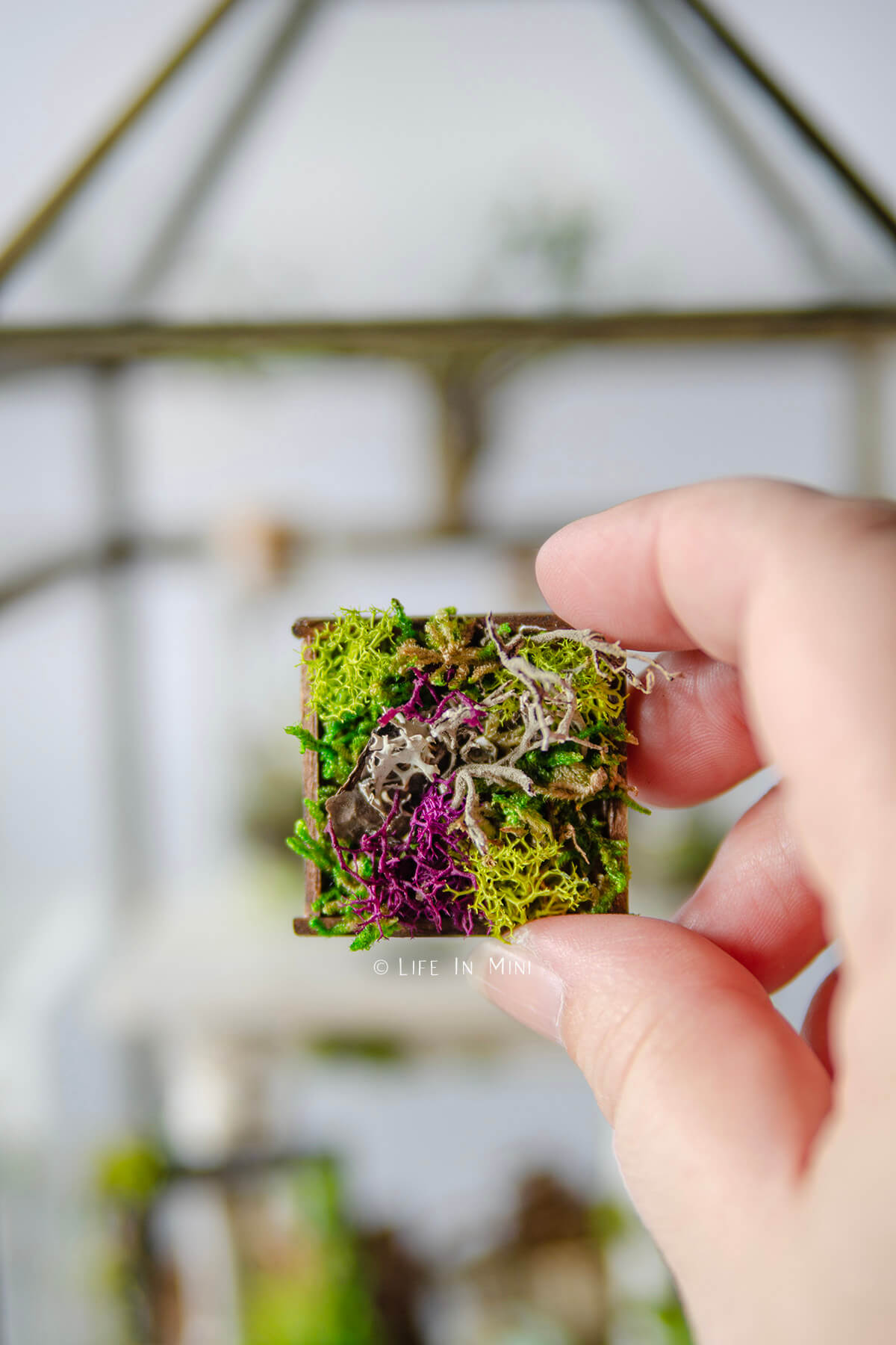 How to Make Mini Terrariums – Life in Mini